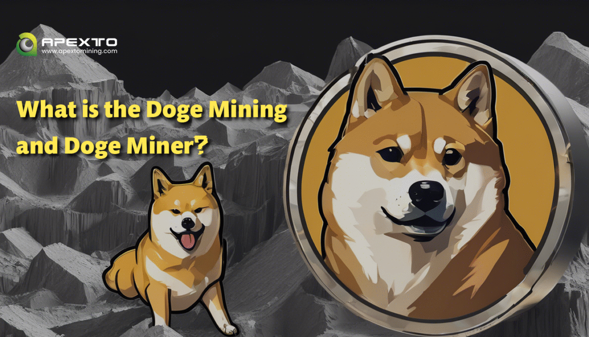 What Is The Doge Mining And Doge Miner？ - Apexto Mining